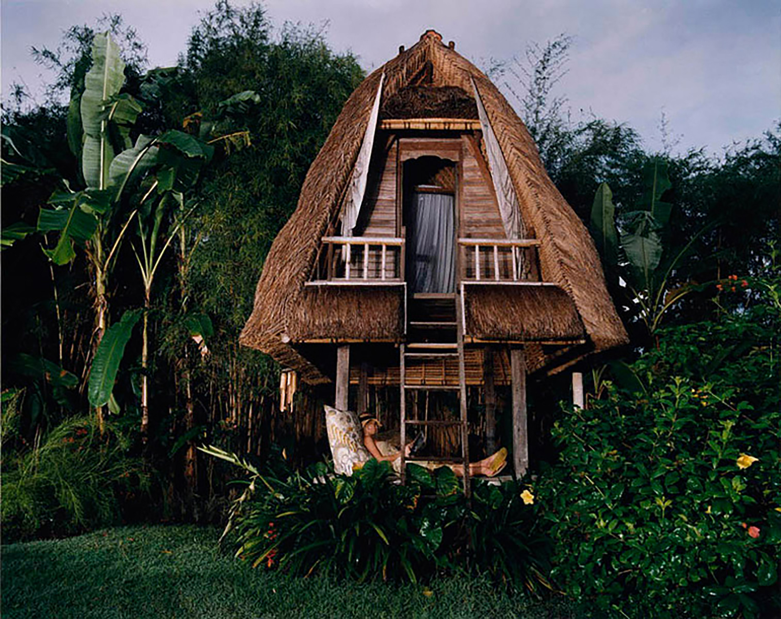 Lifestyle — Nick Haddow