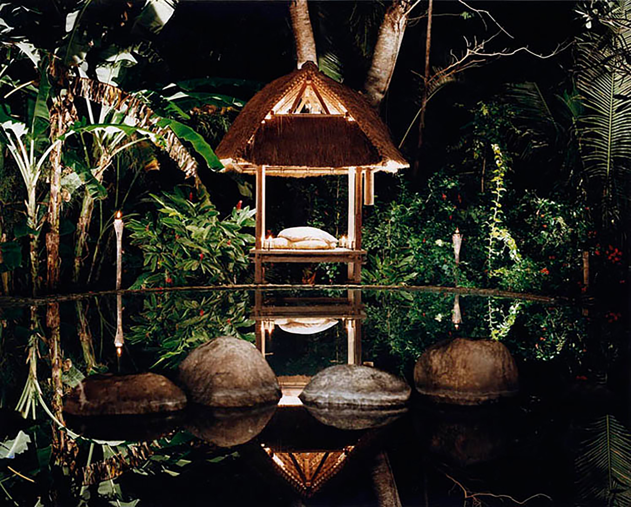 Lifestyle — Nick Haddow