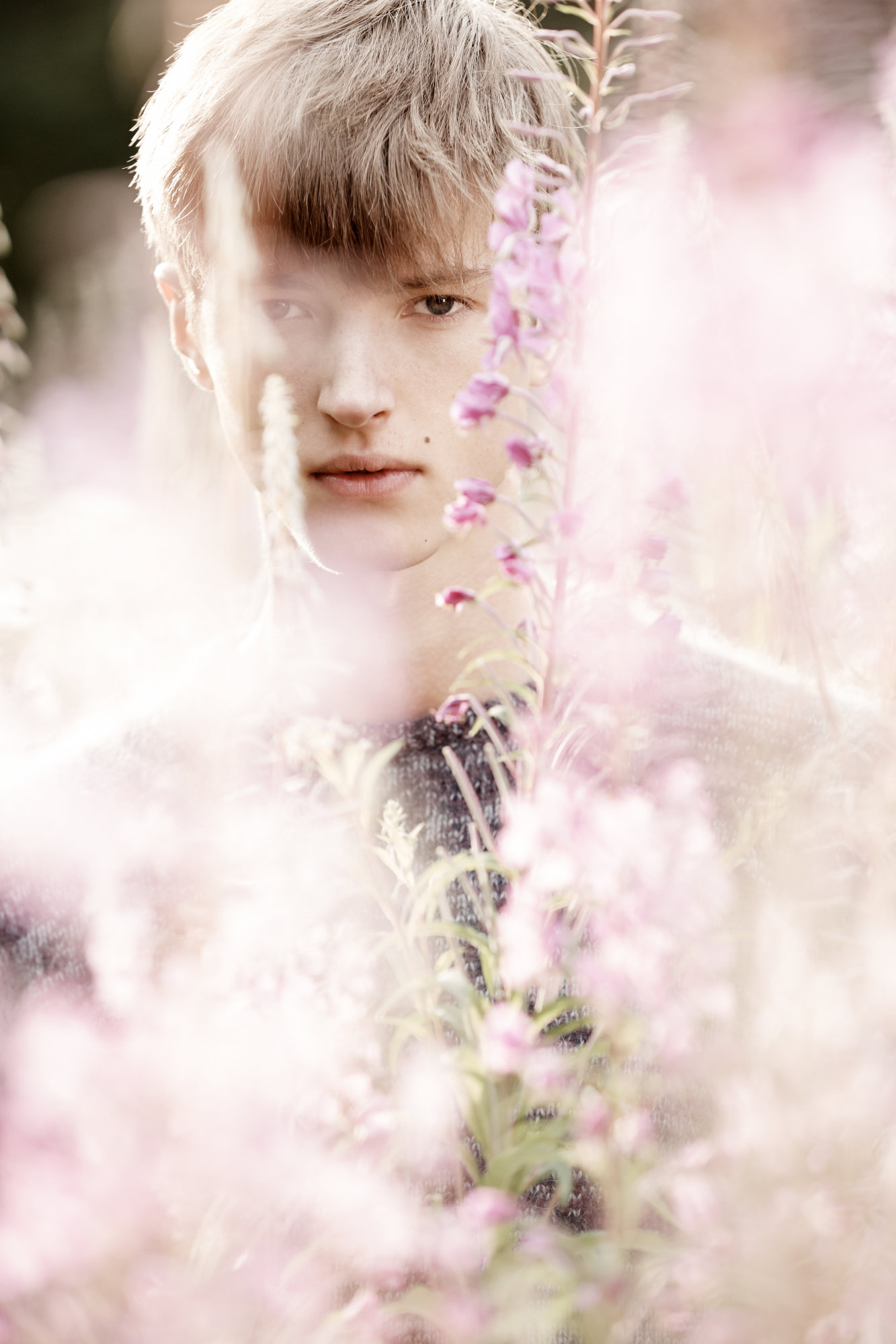 Beauty — Nick Haddow